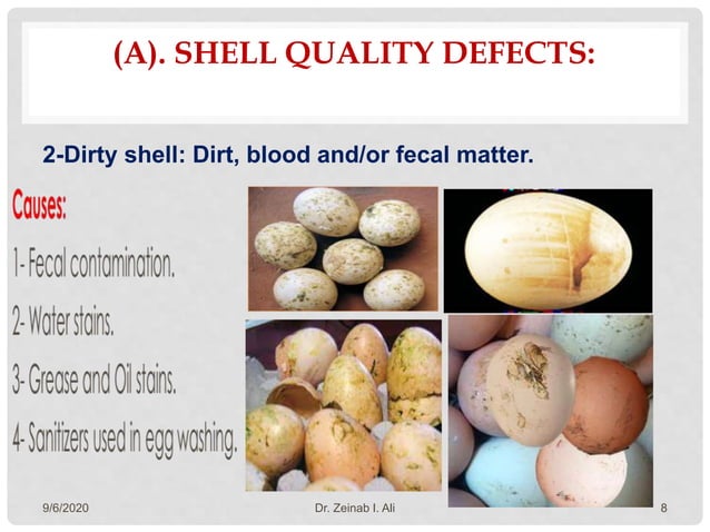 Egg quality defects | PPTX