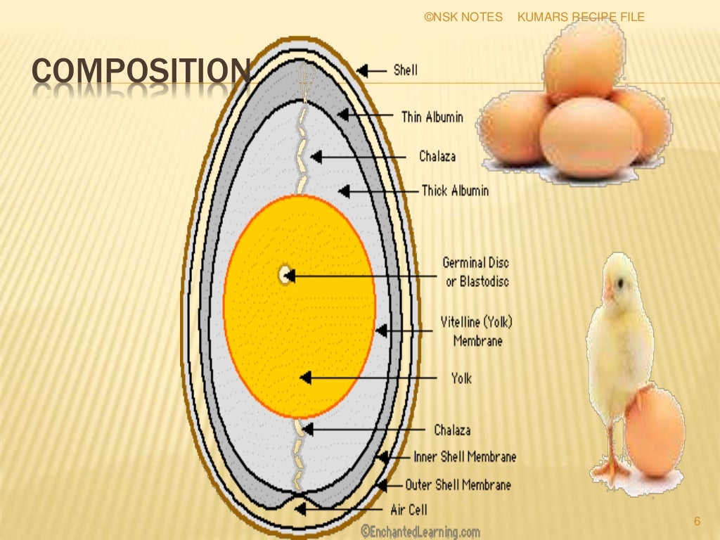 Eggs Eggs