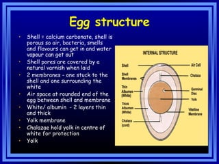 Eggs | PPT