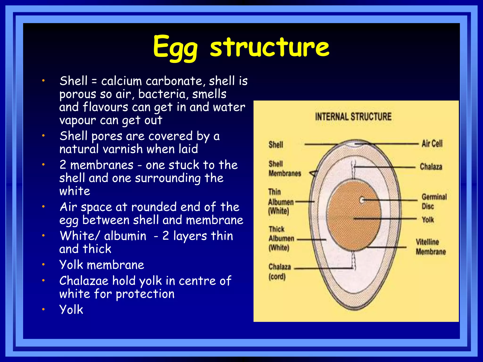 Eggs.ppt