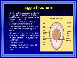 Eggs.ppt
