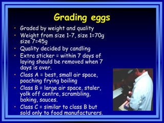 Eggs.ppt