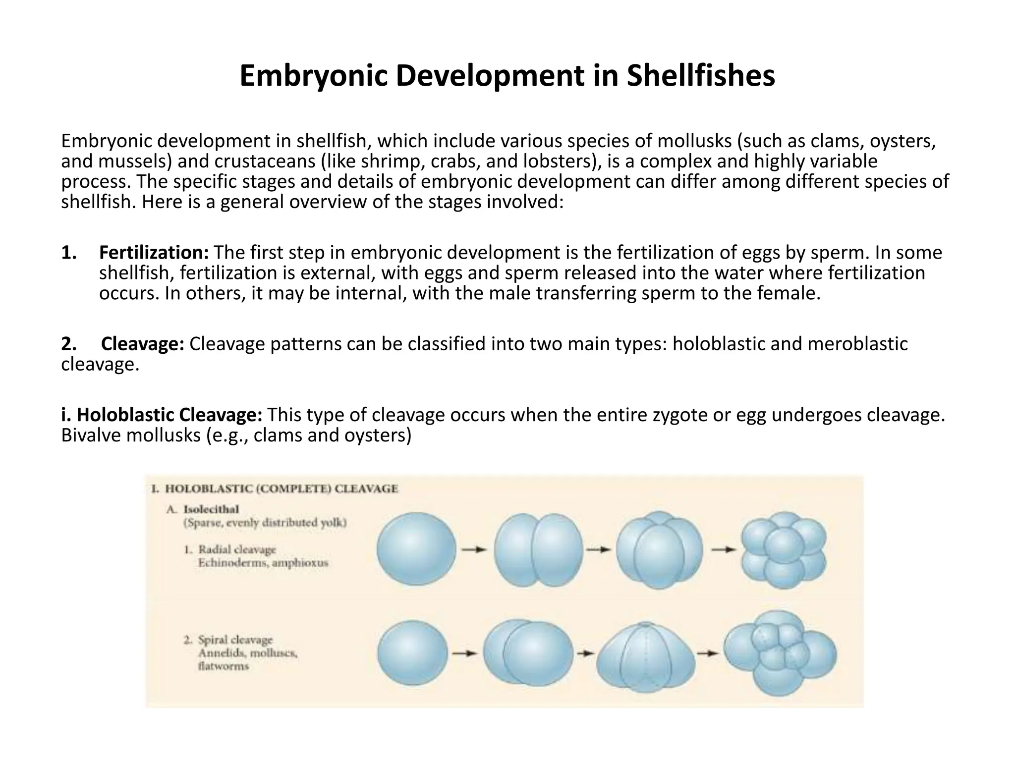 Eggs and larval dynamics of finfish and shellfish.pptx