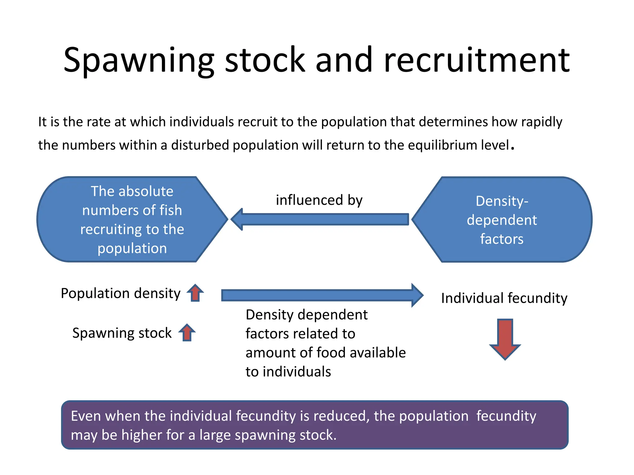 Eggs and larval dynamics of finfish and shellfish.pptx