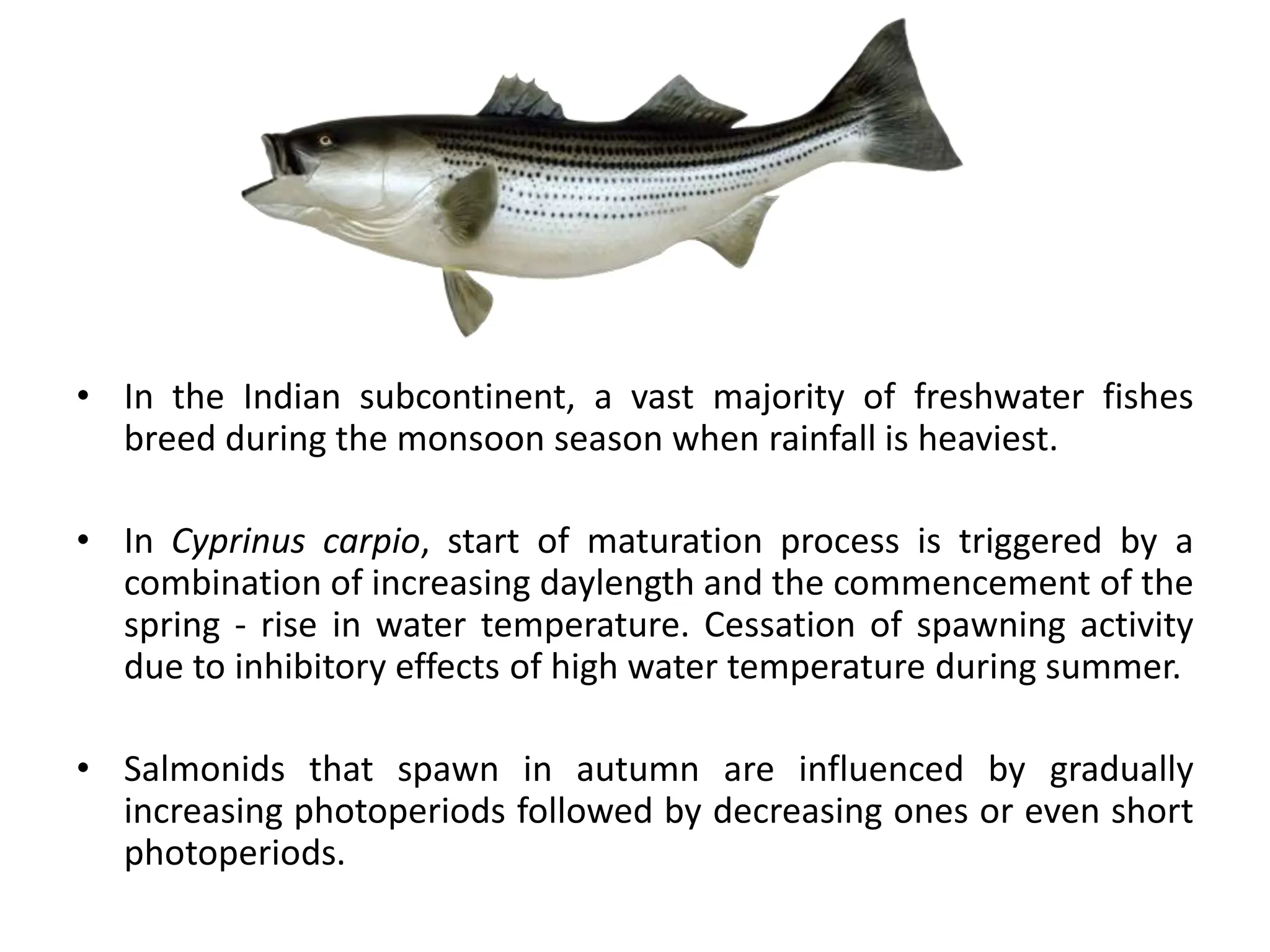 Eggs and larval dynamics of finfish and shellfish.pptx