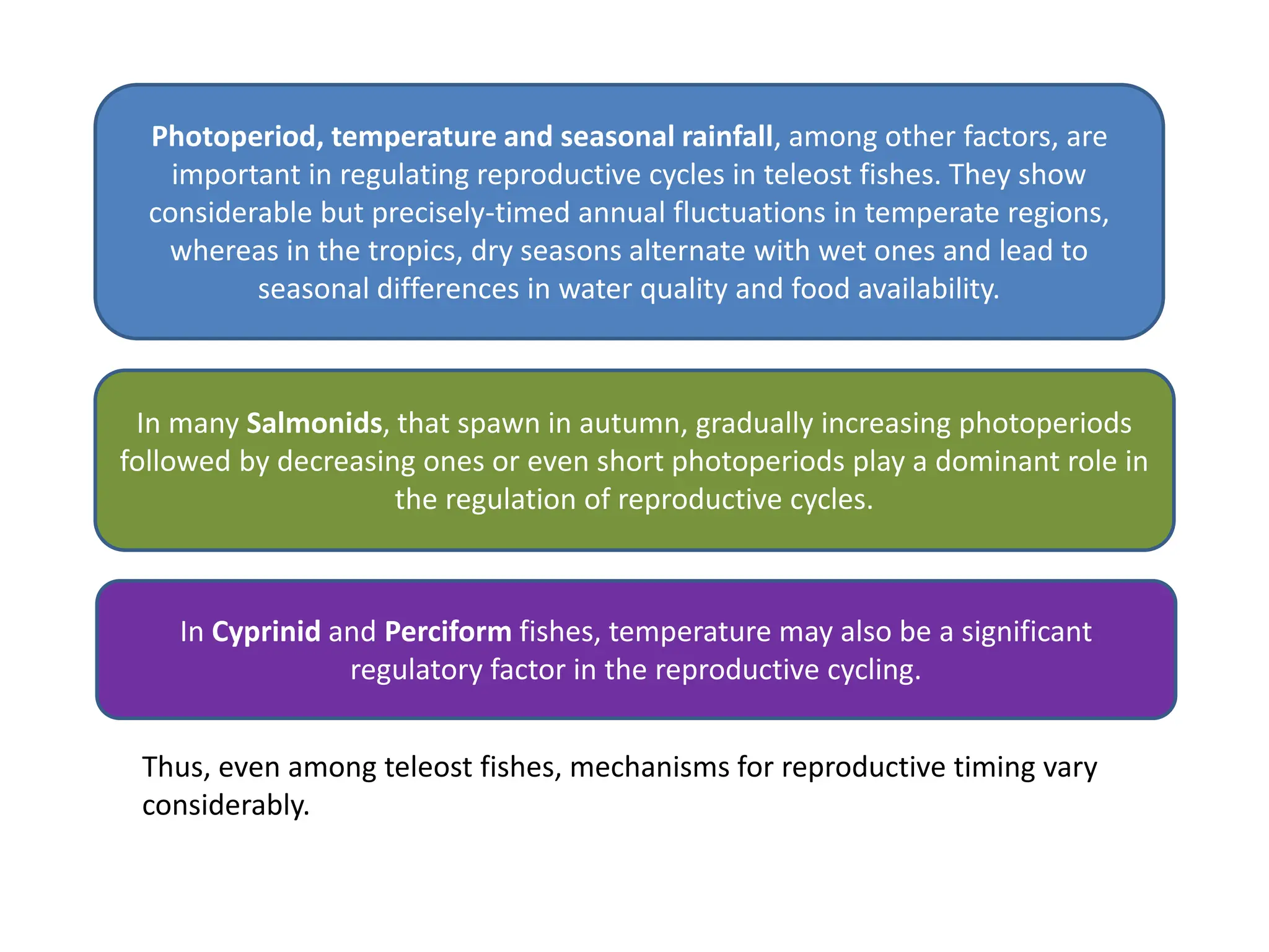 Eggs and larval dynamics of finfish and shellfish.pptx