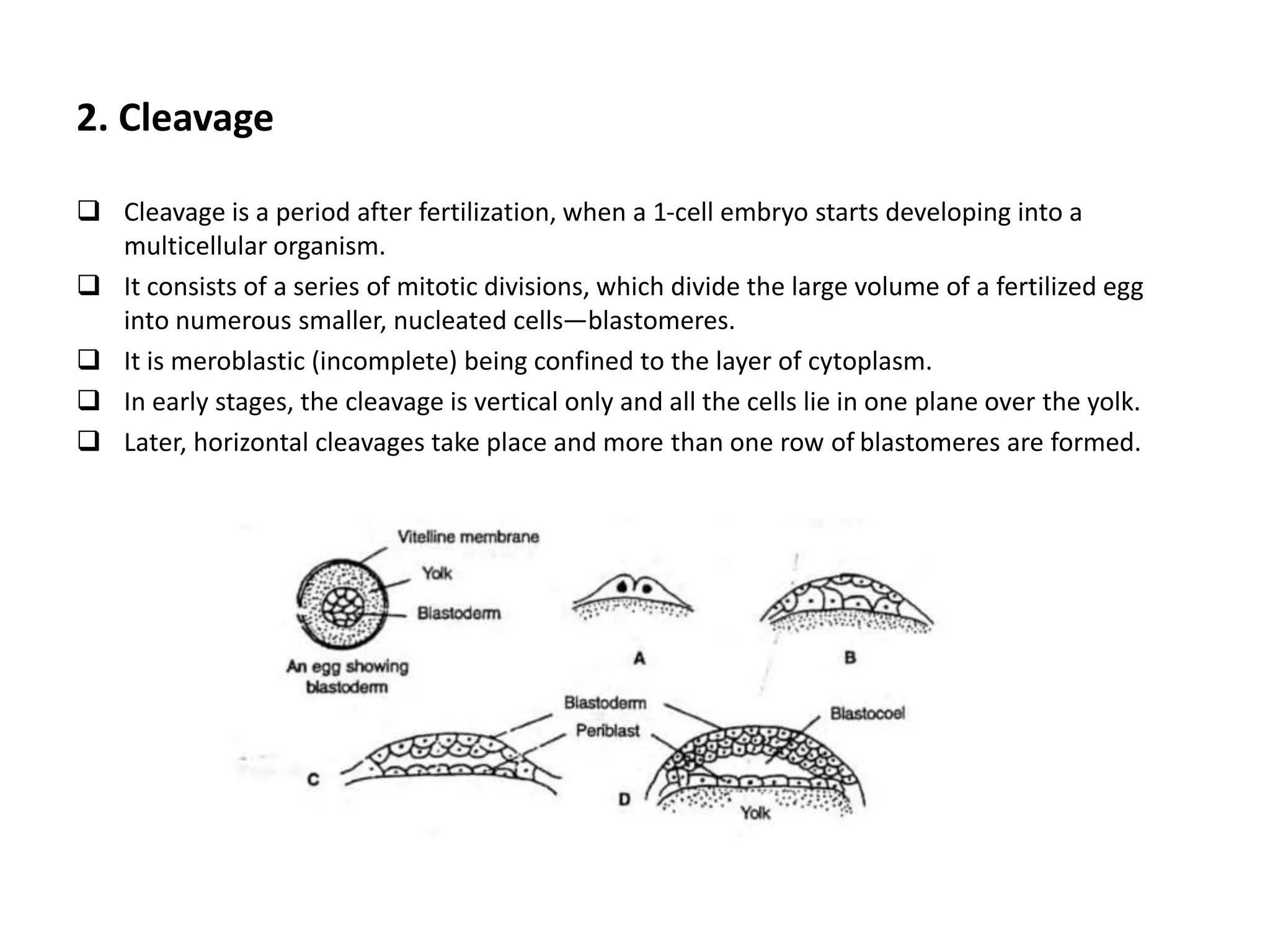 Eggs and larval dynamics of finfish and shellfish.pptx
