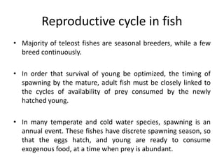 Eggs and larval dynamics of finfish and shellfish.pptx