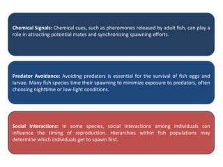 Eggs and larval dynamics of finfish and shellfish.pptx
