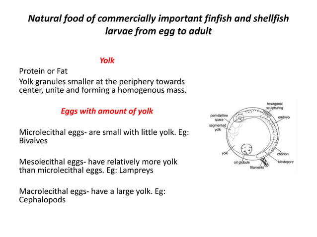 Eggs and larval dynamics of finfish and shellfish.pptx