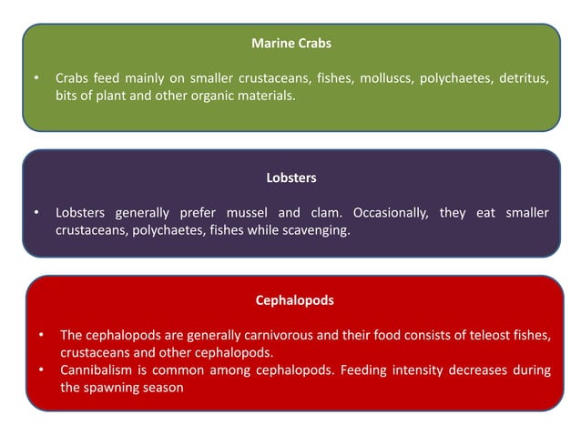 Eggs and larval dynamics of finfish and shellfish.pptx
