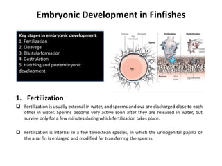 Eggs and larval dynamics of finfish and shellfish.pptx