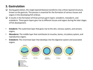 Eggs and larval dynamics of finfish and shellfish.pptx