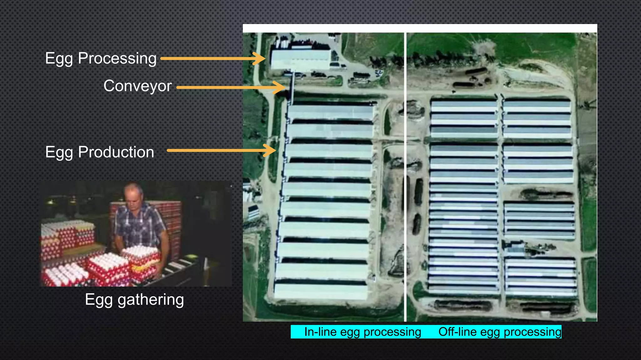 Egg Science and Technology-converted-compressed.pdf