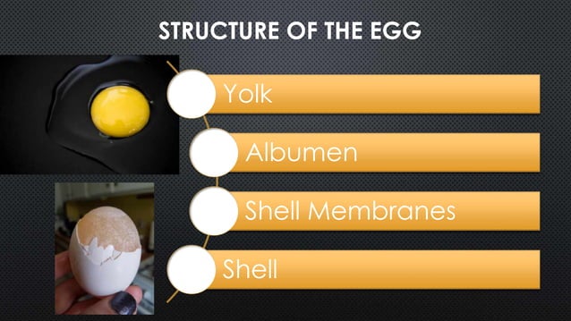 Egg Science and Technology-converted-compressed.pdf