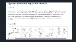 Eggshell membrane | PDF