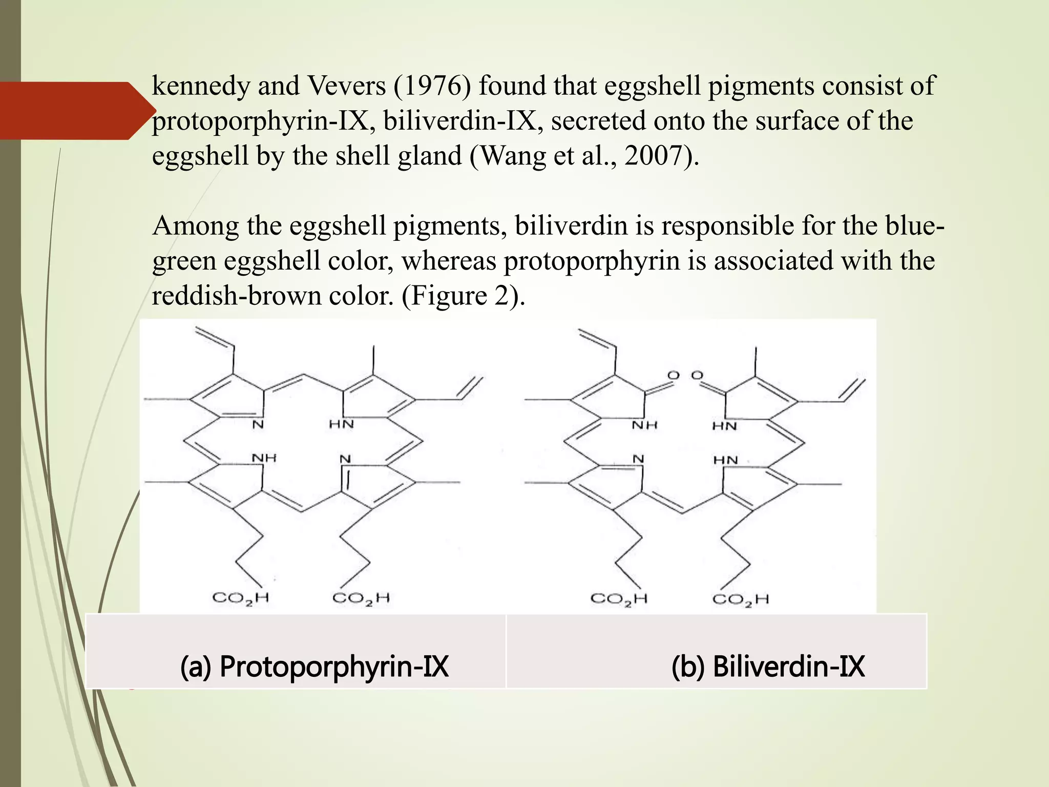 Egg shell color | PPTX
