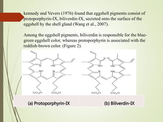Egg shell color | PPT