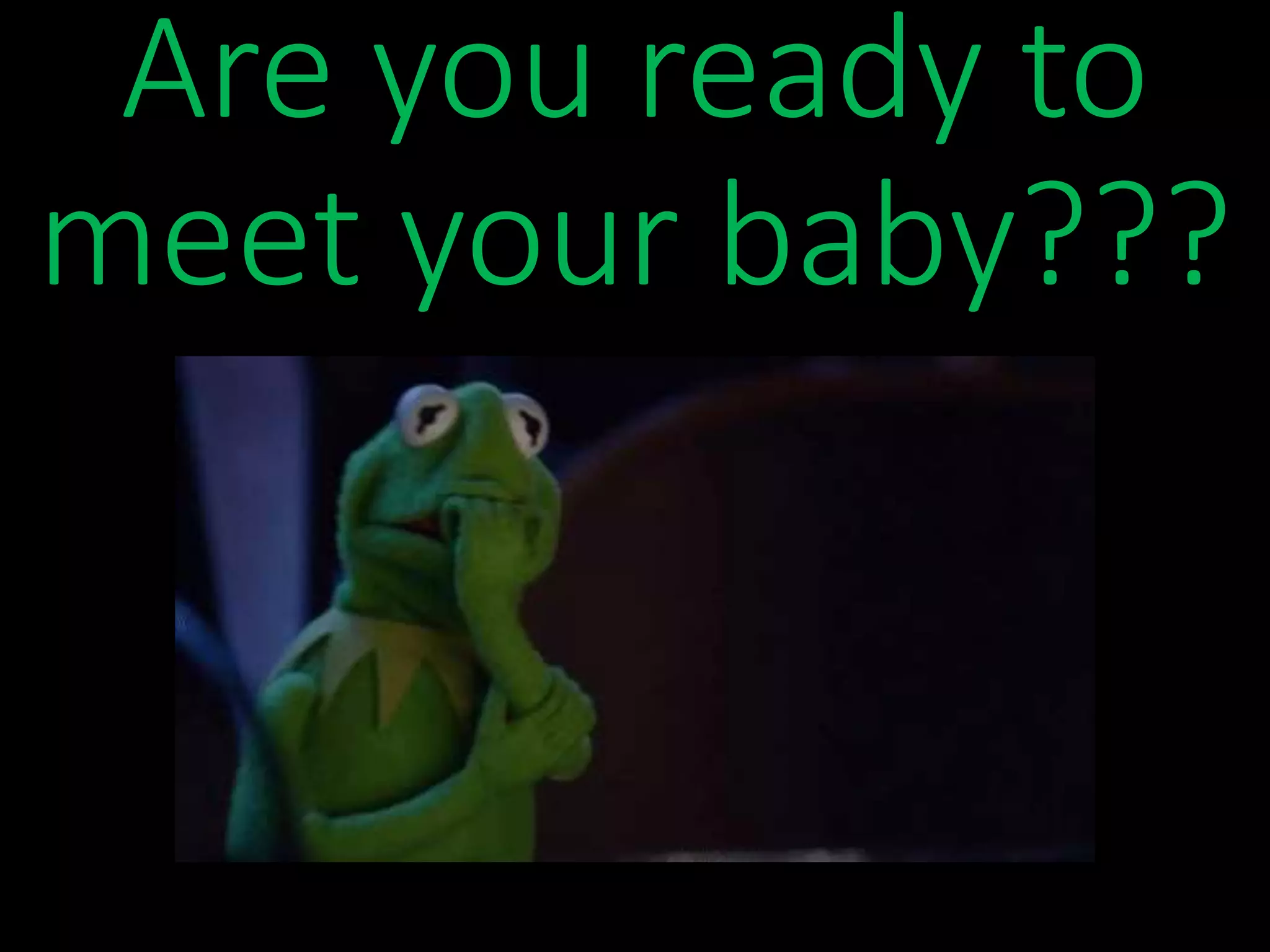 Eggsperiment point breakdown | PPT