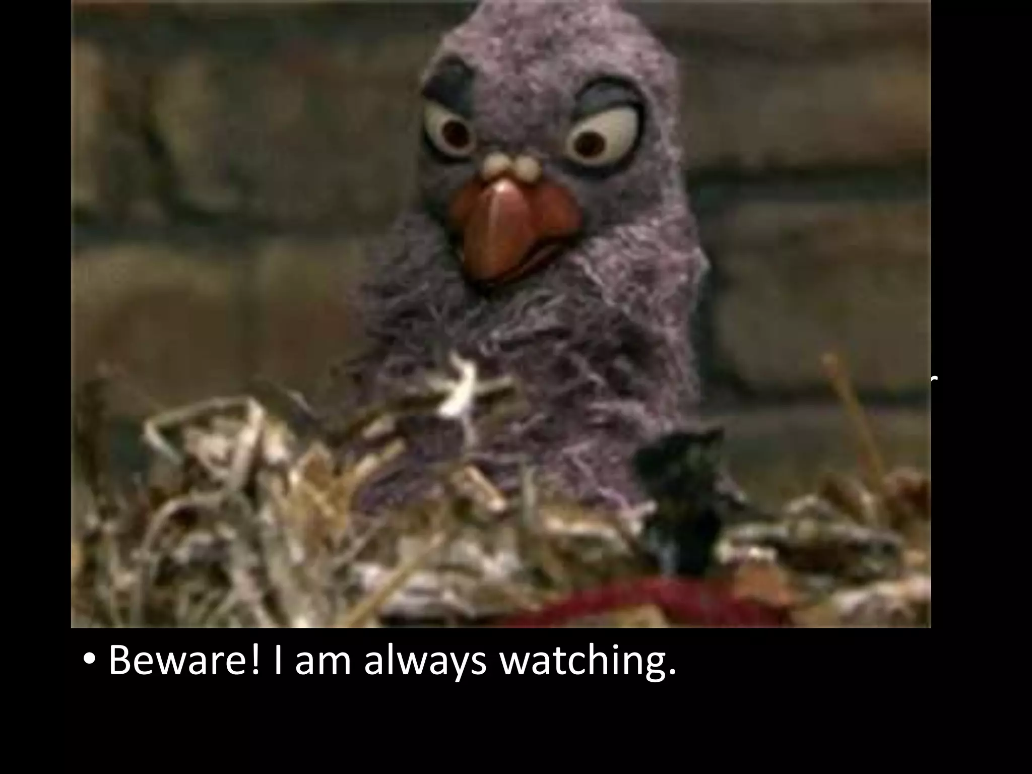 Eggsperiment point breakdown | PPT