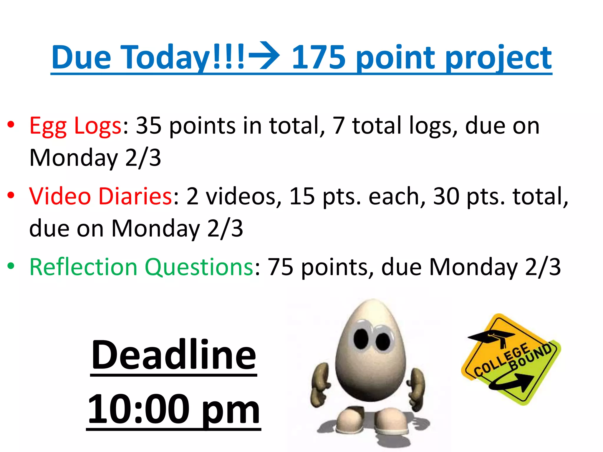 Eggsperiment point breakdown | PPT
