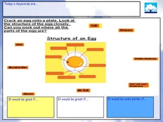 Eggs powerpoint for gcse | PPTX