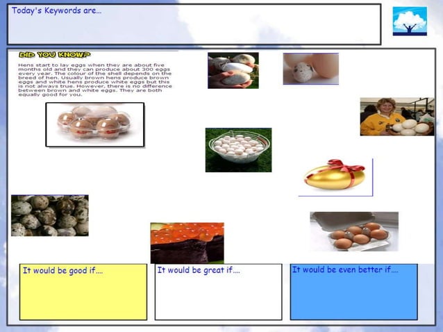 Eggs powerpoint for gcse | PPT