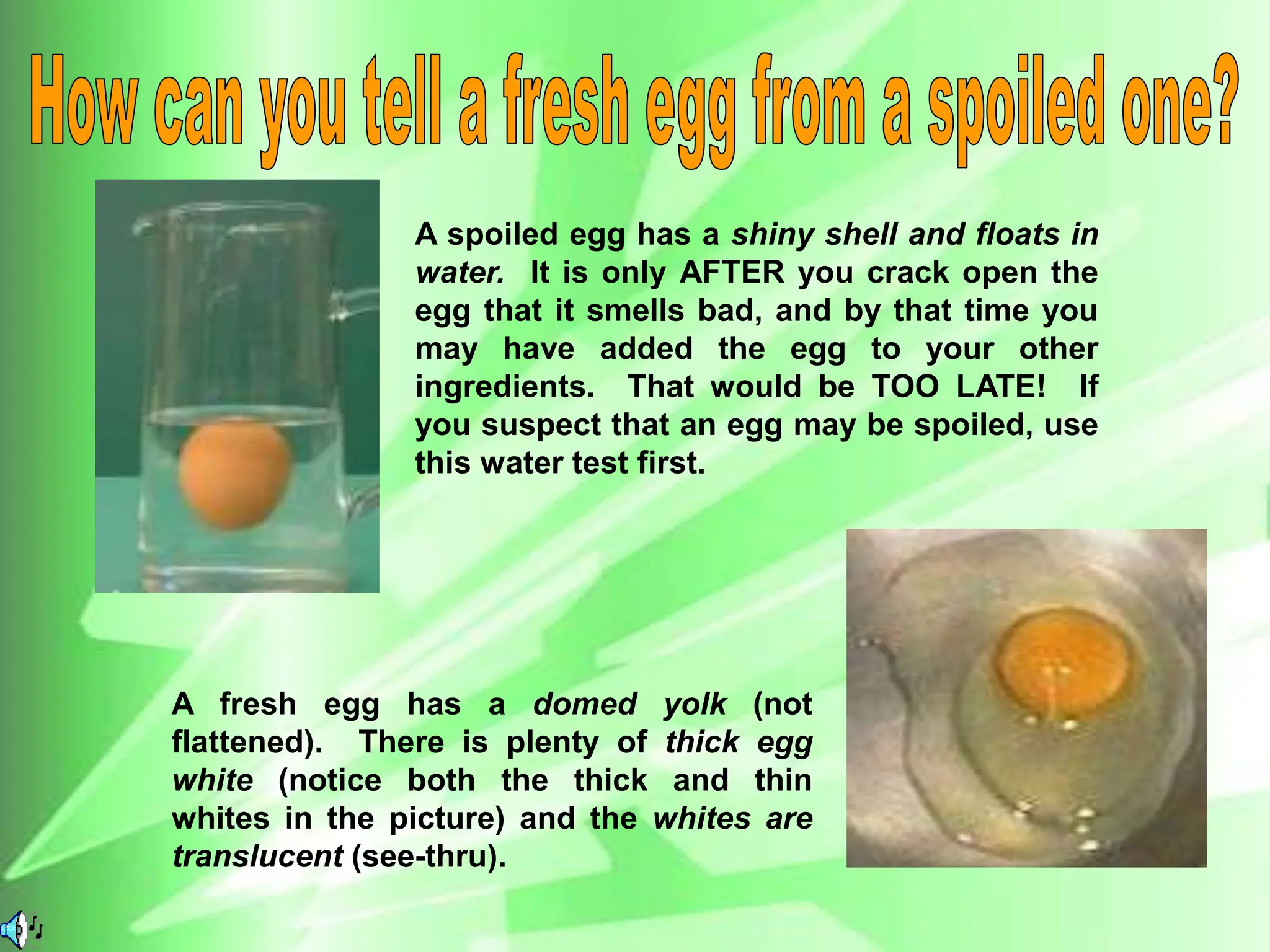 PARTS OF THE EggSs AND ITS DESCRIPTION.ppt