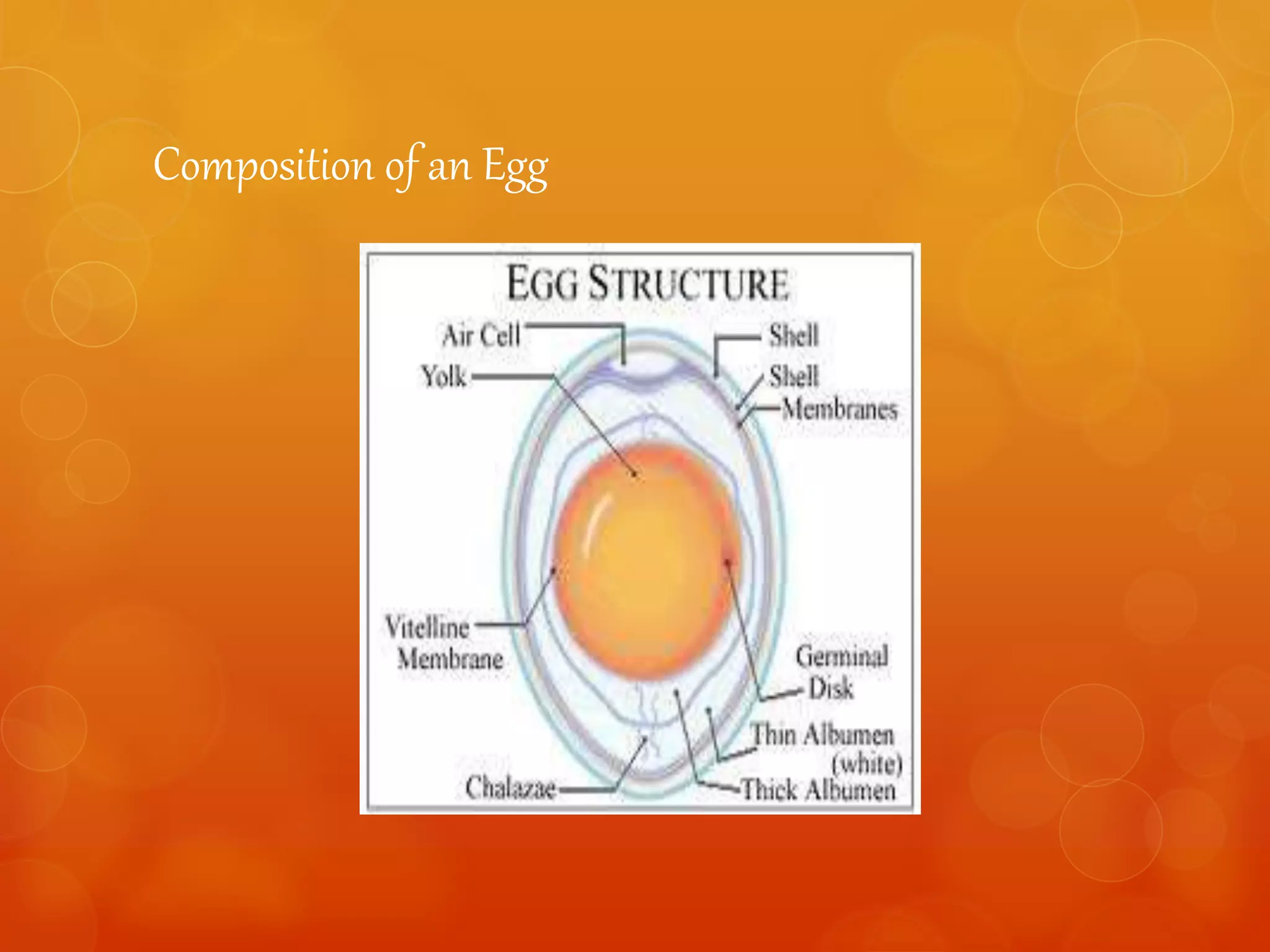 Eggs presentation(food &_nutrition) | PPT