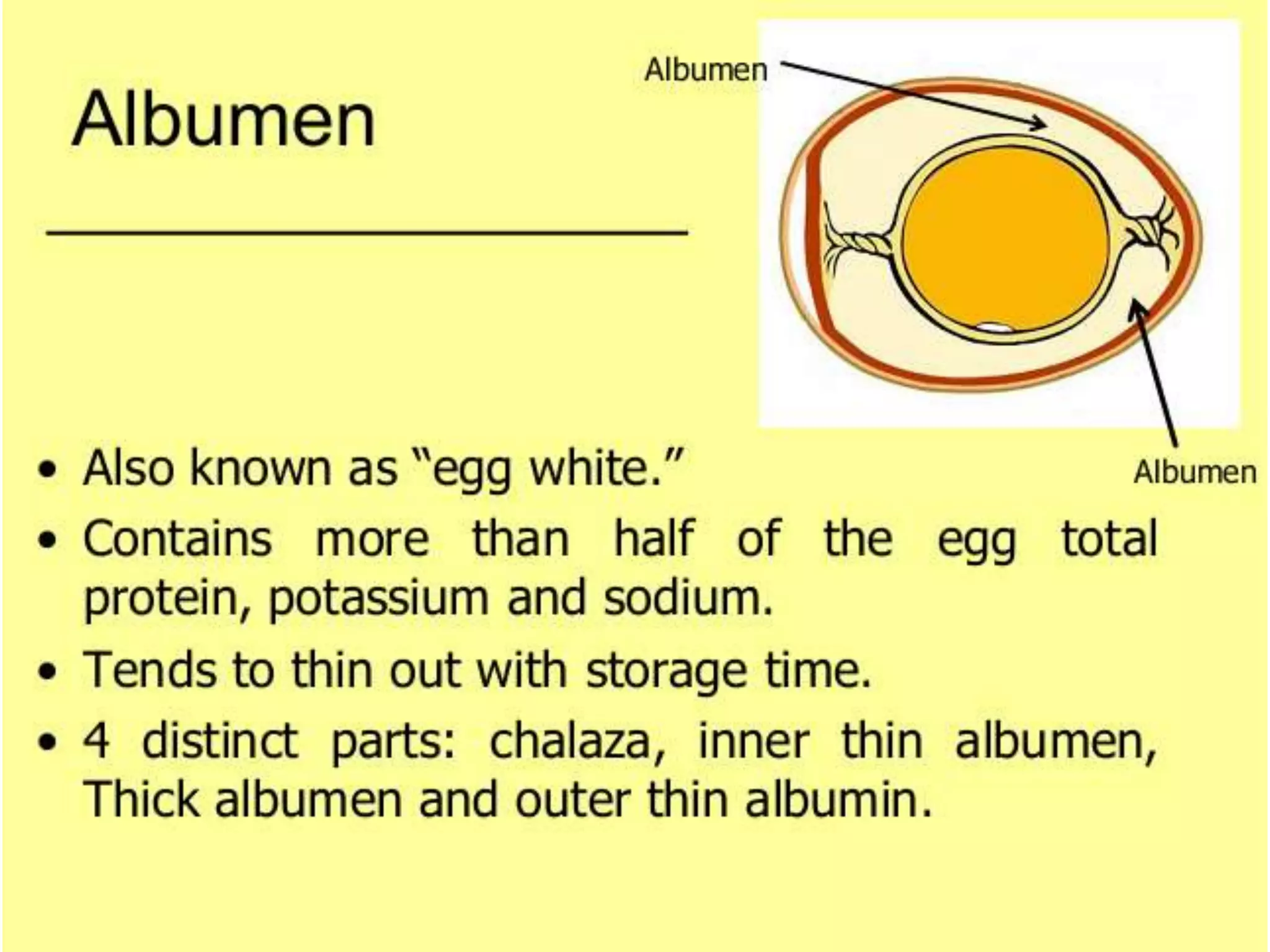 Egg structure | PPTX