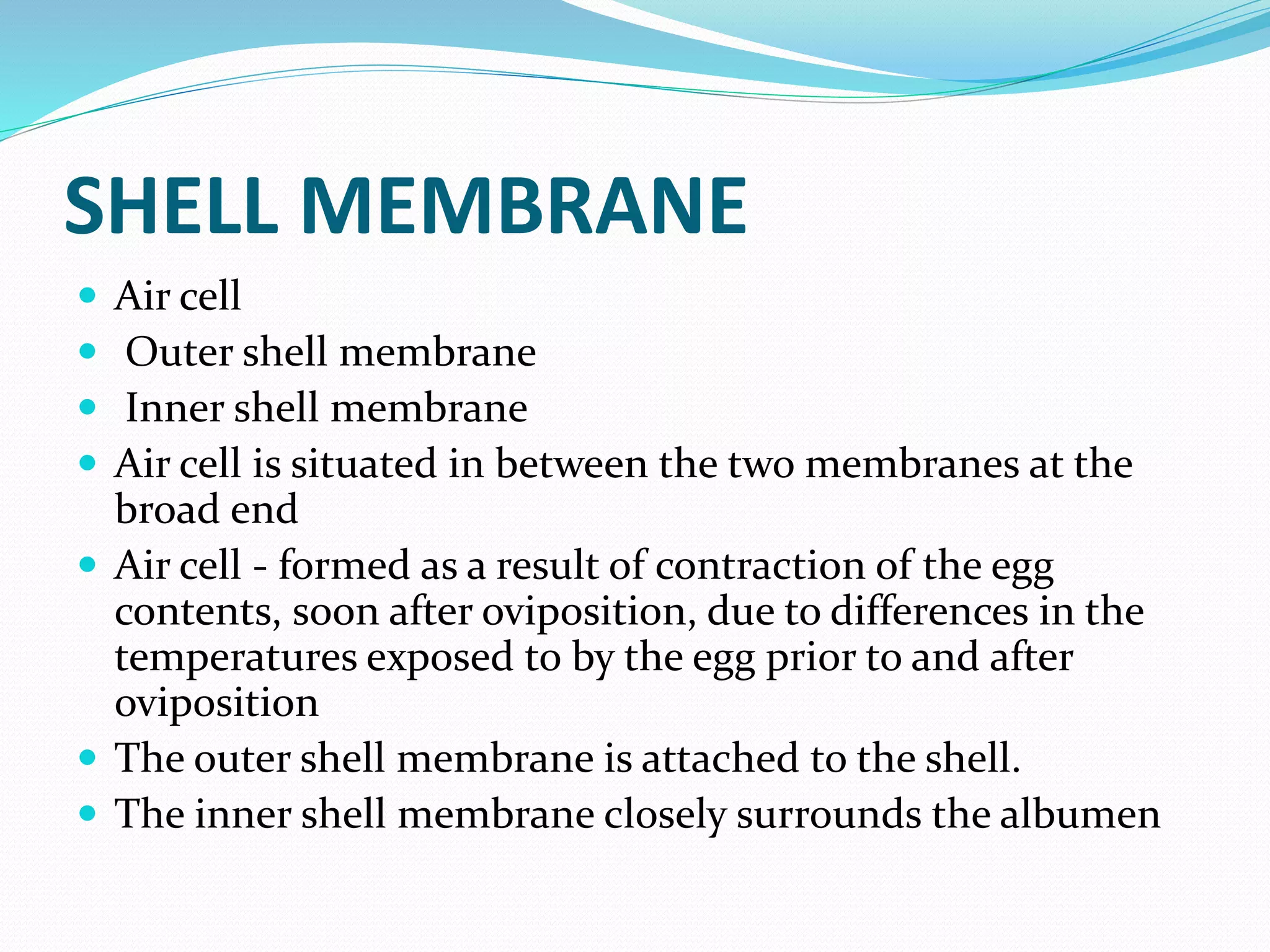 Egg structure and chemical composition | PPTX