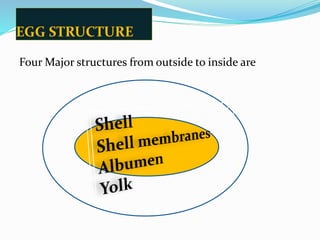 Egg structure and chemical composition | PPTX