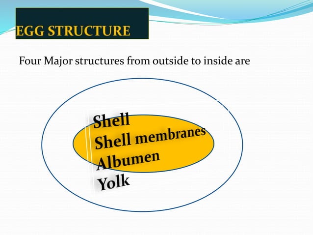 Egg structure and chemical composition | PPTX