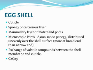 Egg structure and chemical composition | PPTX