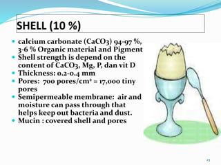 Egg structure and chemical composition | PPTX