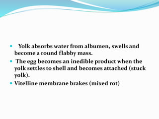 Egg structure and chemical composition | PPTX