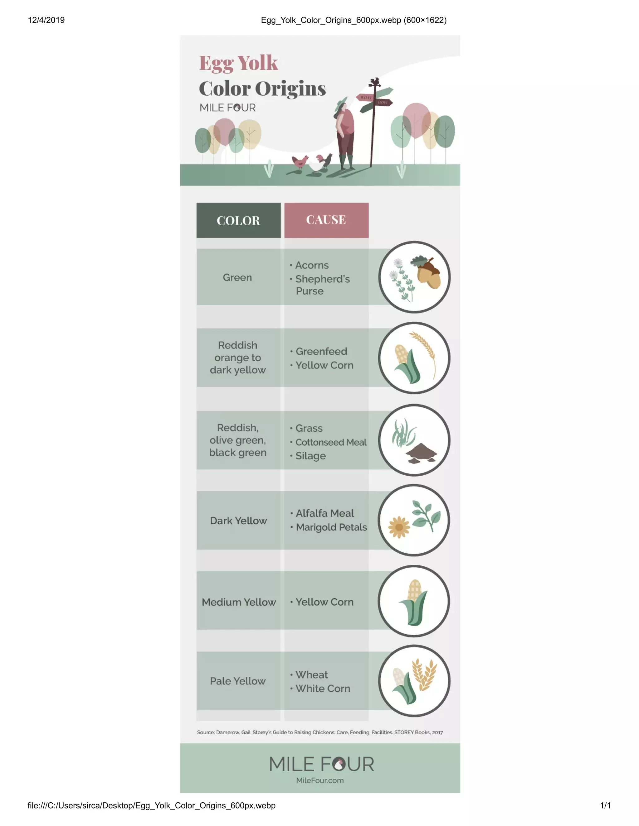 Egg Yolk Color Origins | PDF