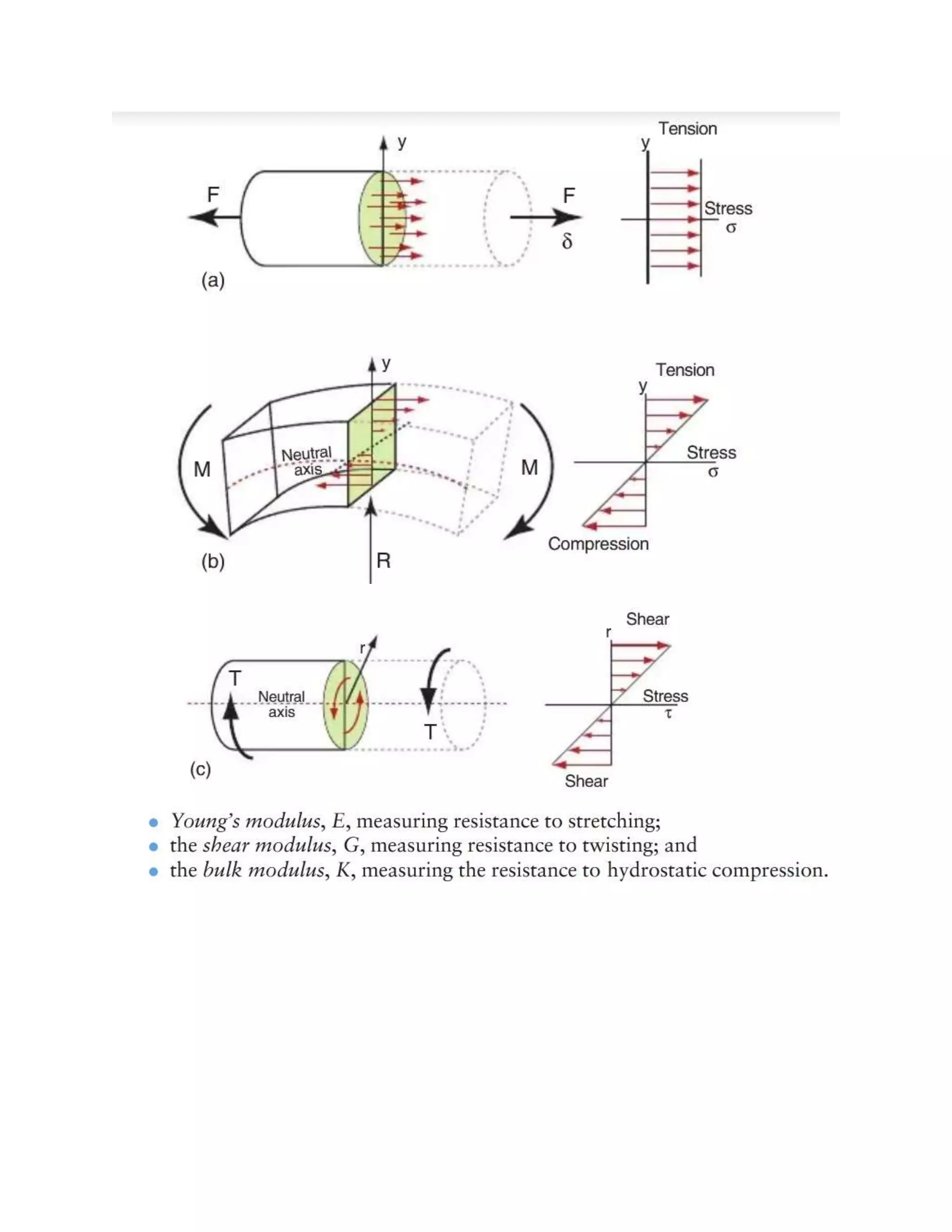 E,G,K MODULUS AND COHESIVE ENERGY,YOUNG'S MODULUS RELATION.docx