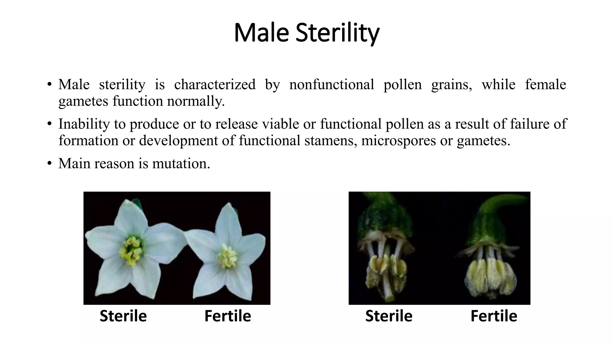 Environmental sensitive genetic male sterility | PDF