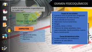 Examen General de Orina examen de laboratorio | PPTX