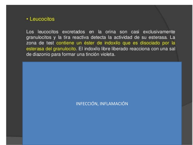 Examen general de orina (EGO), como por ejemplo valores de referencia .pdf
