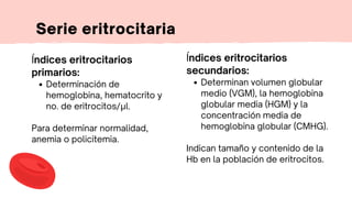 EGO, BH, QS (1).pdf pruebas diagnósticas para la función renal. | PDF