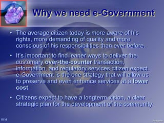 e-Government Strategy. Government Transformation in Developing ...