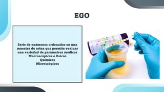 EGO y urocultivo.pptx