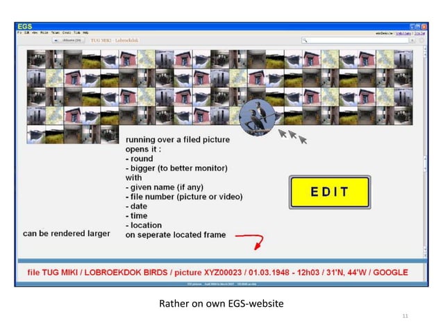 EGS - EYE GUARD SYSTEM - 2023 (R).ppt