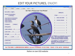 EGS - EYE GUARD SYSTEM - 2023 (R).ppt