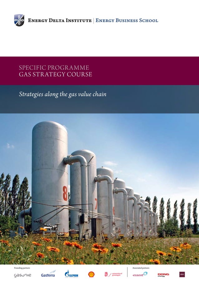 Gas Strategy Course | PDF