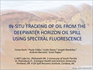 In-situ tracking of oil from the Deepwater Horizon oil spill using ...