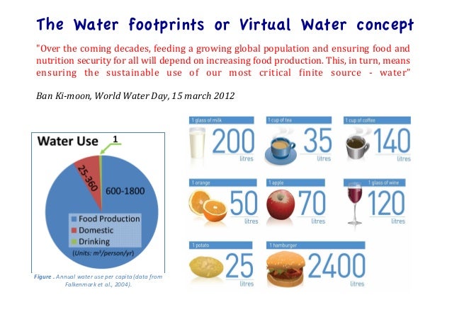 Virtual Water Trade Networks and Sustainability of the Food System