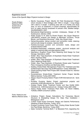 Erim Gurdal CV | PDF